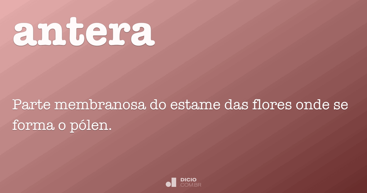 Antera - Dicio, Dicionário Online de Português
