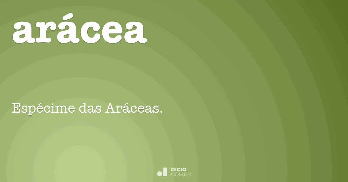 Arácea - Dicio, Dicionário Online de Português