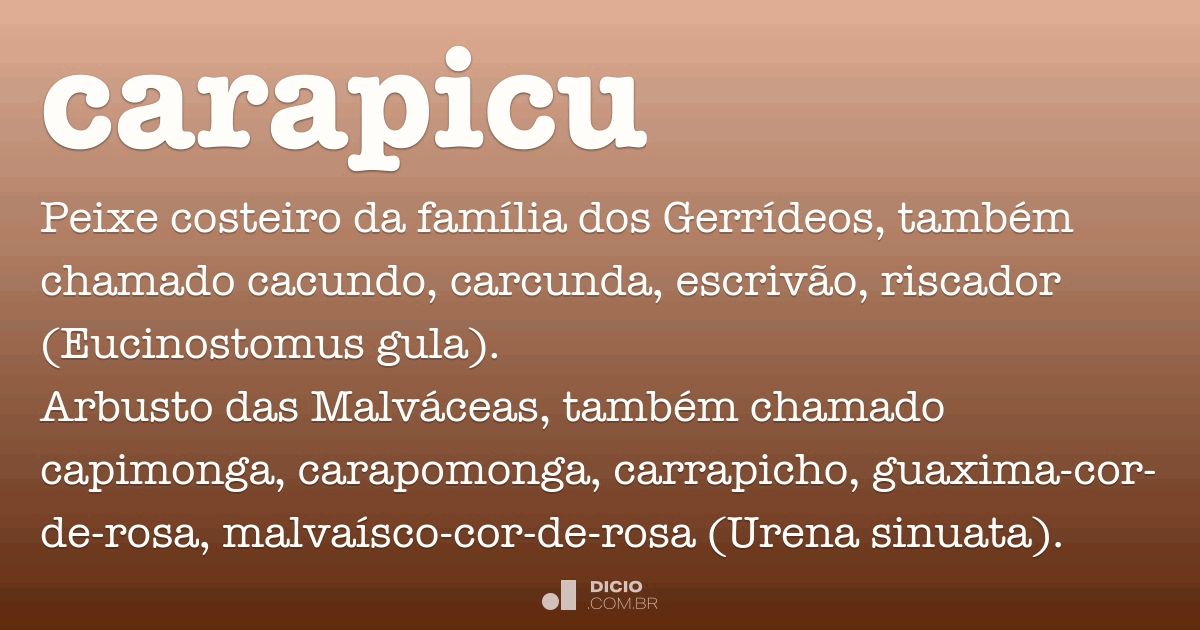Carapicu - Dicio, Dicionário Online de Português