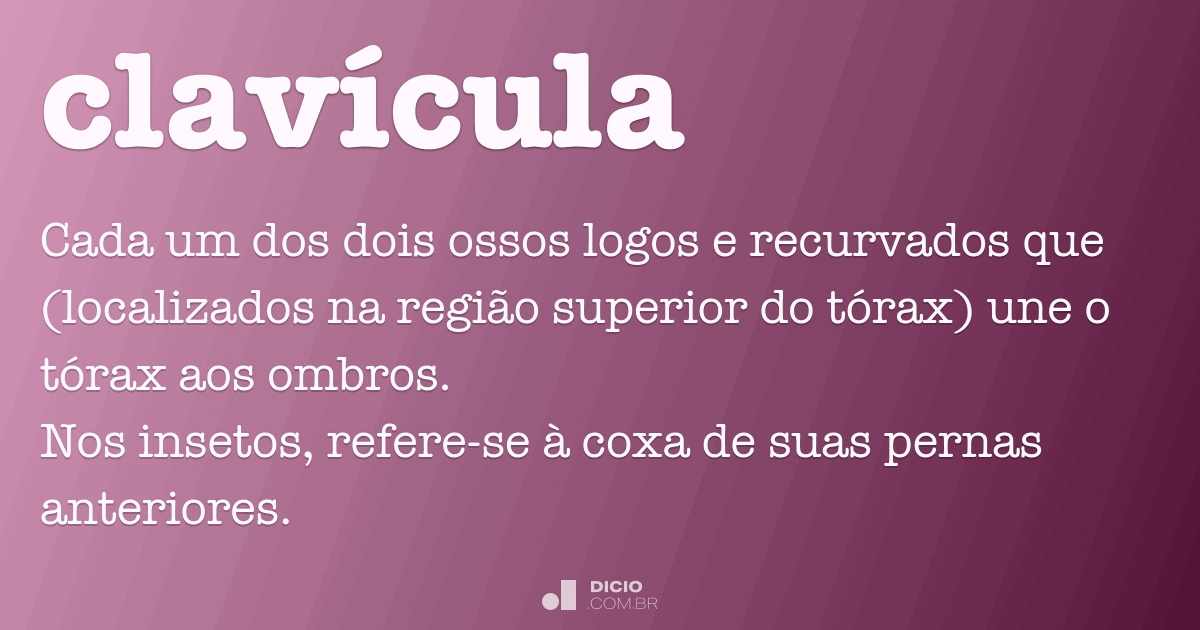 Clavícula - Dicio, Dicionário Online de Português