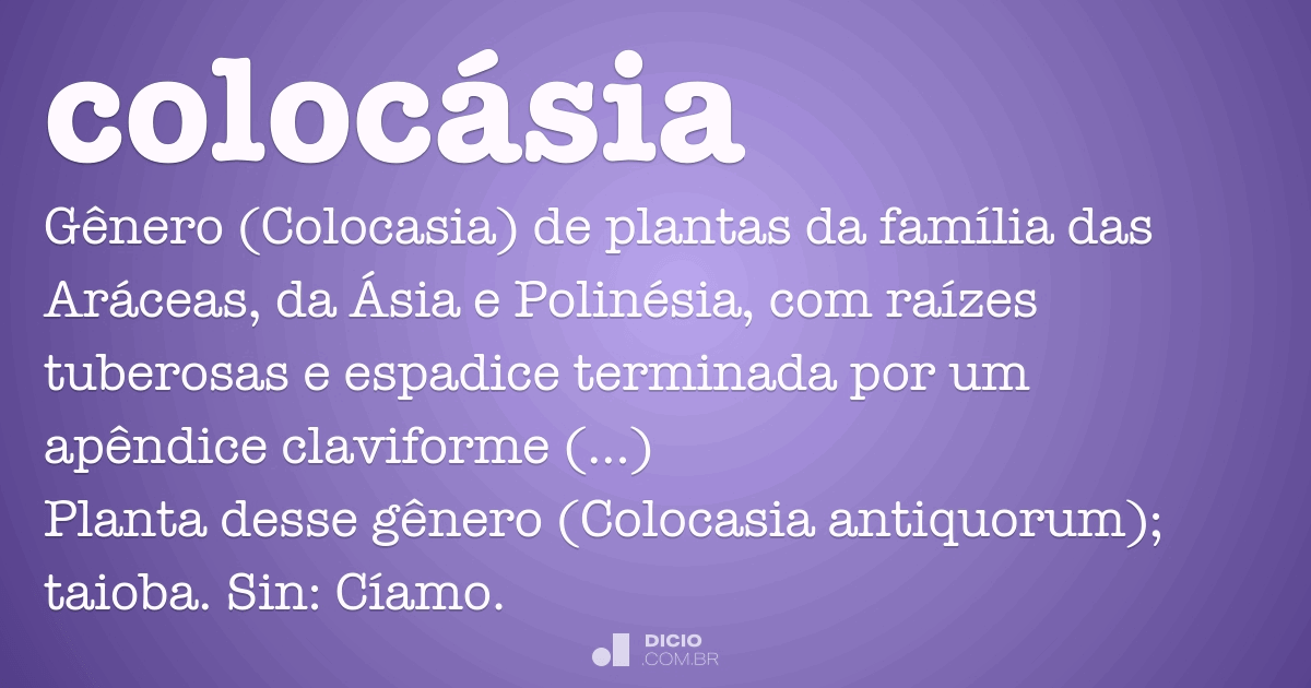 Colocásia - Dicio, Dicionário Online de Português