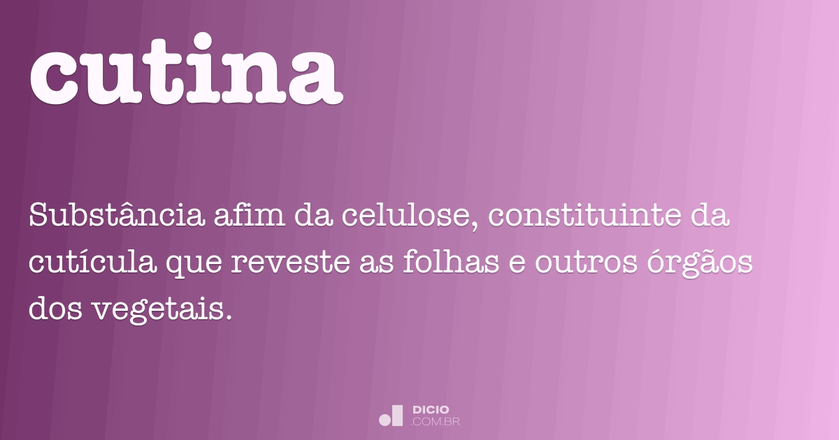 Cutina - Dicio, Dicionário Online de Português