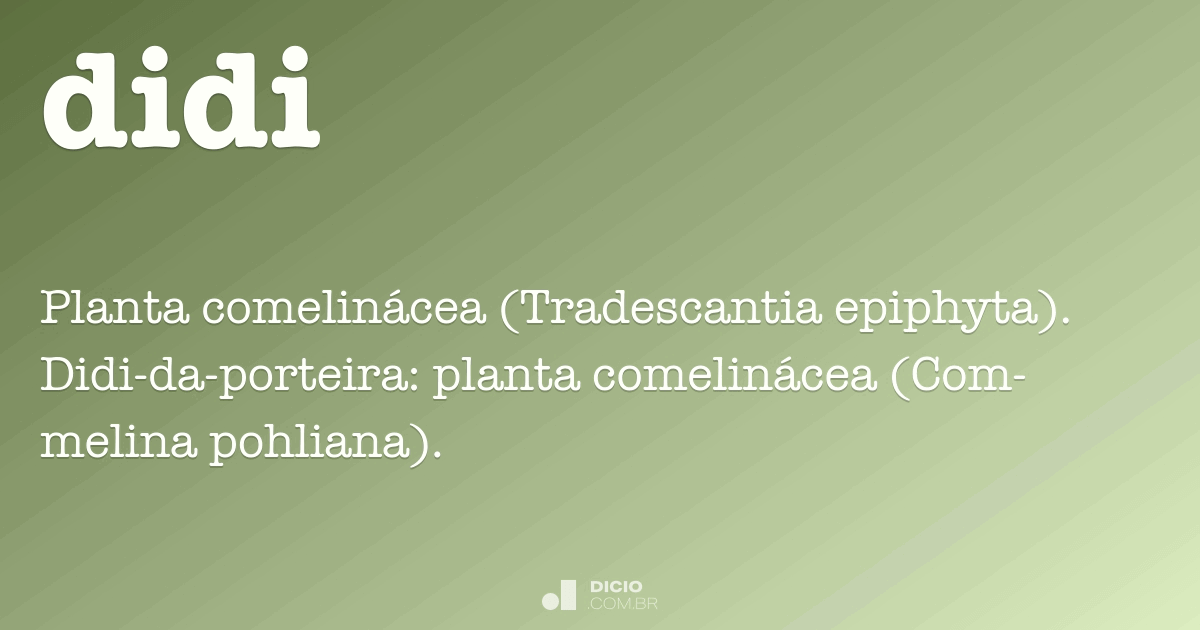 Didi - Dicio, Dicionário Online de Português