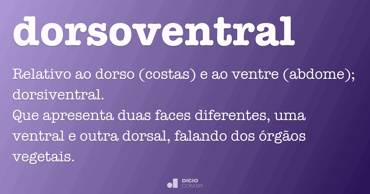 Dorsoventral - Dicio, Dicionário Online de Português
