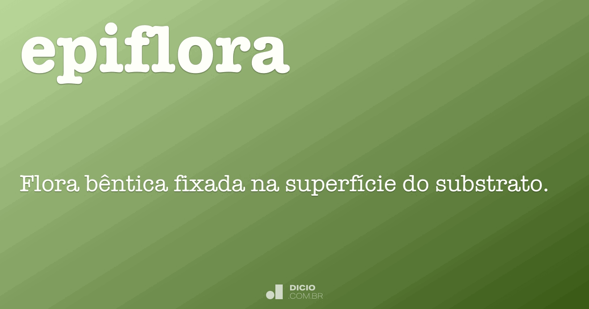Epiflora - Dicio, Dicionário Online de Português