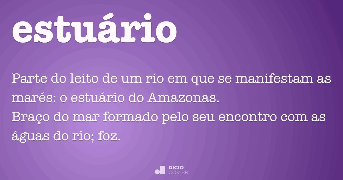Estuário - Dicio, Dicionário Online de Português