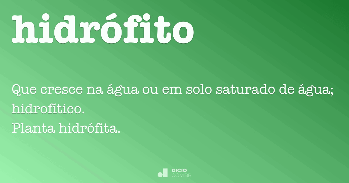 Hidrófito - Dicio, Dicionário Online de Português