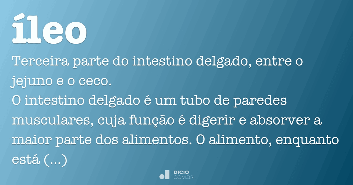 Íleo - Dicio, Dicionário Online de Português