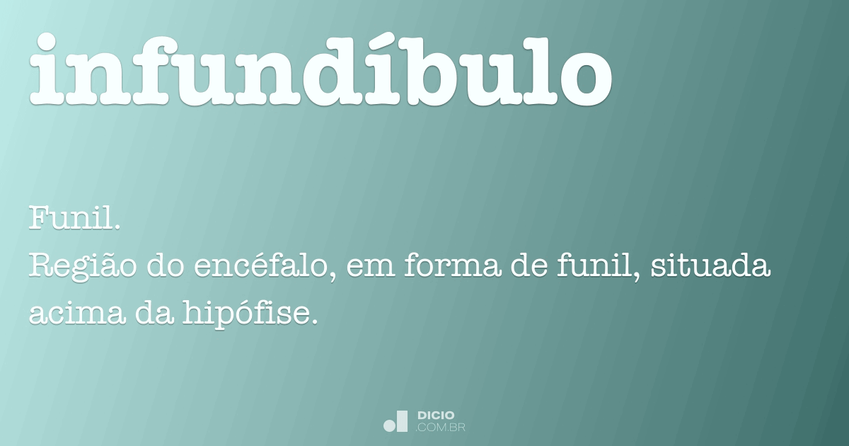 Infundíbulo - Dicio, Dicionário Online de Português