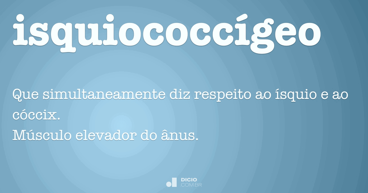 Isquiococcígeo - Dicio, Dicionário Online de Português