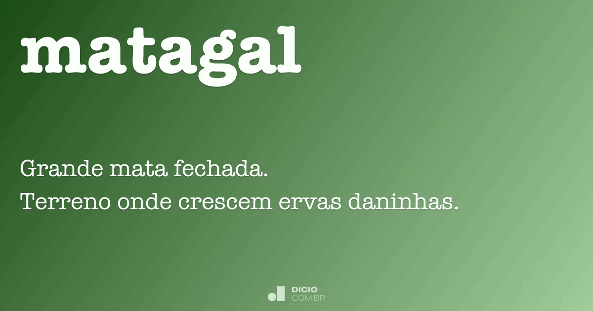 Matagal - Dicio, Dicionário Online de Português