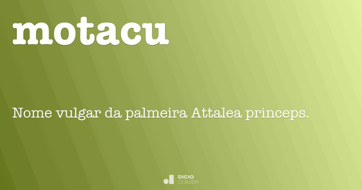 Motacu - Dicio, Dicionário Online de Português
