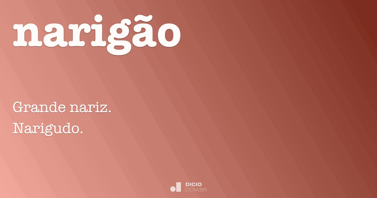 Narigão - Dicio, Dicionário Online de Português