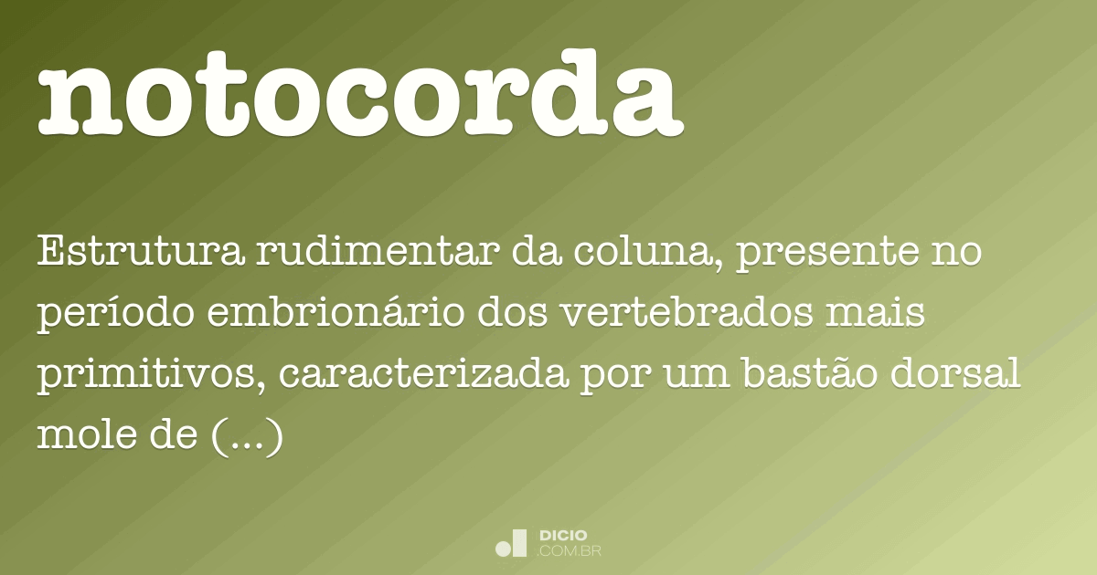 Notocorda - Dicio, Dicionário Online de Português