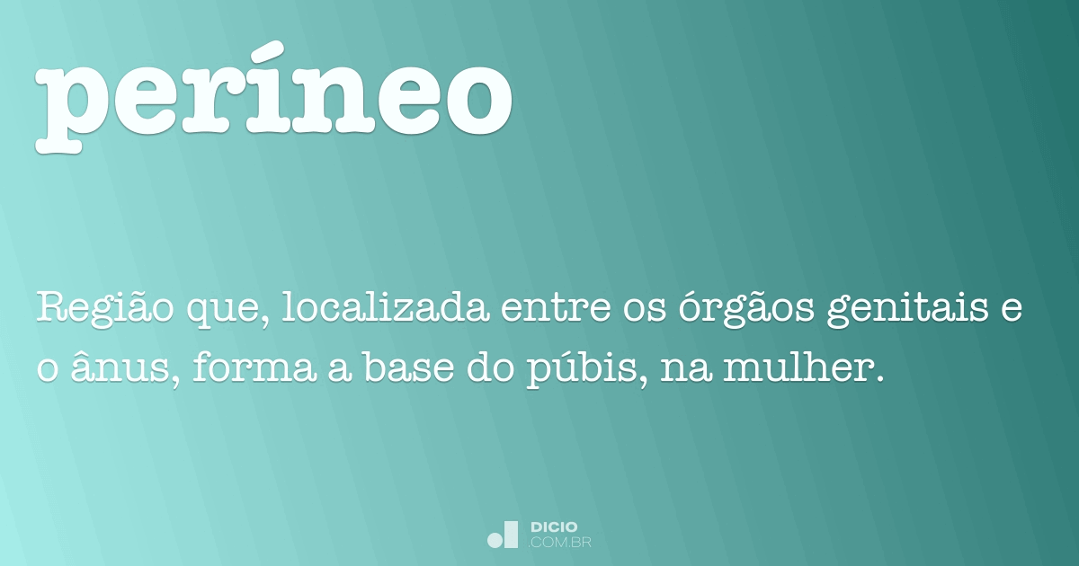 Períneo - Dicio, Dicionário Online de Português