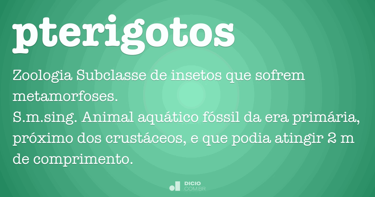 Pterigotos - Dicio, Dicionário Online de Português