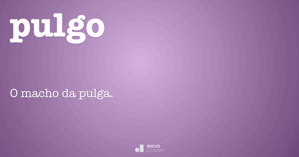Pulgo - Dicio, Dicionário Online de Português