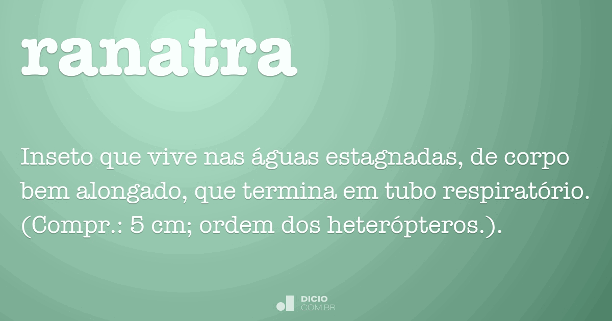 Ranatra - Dicio, Dicionário Online de Português