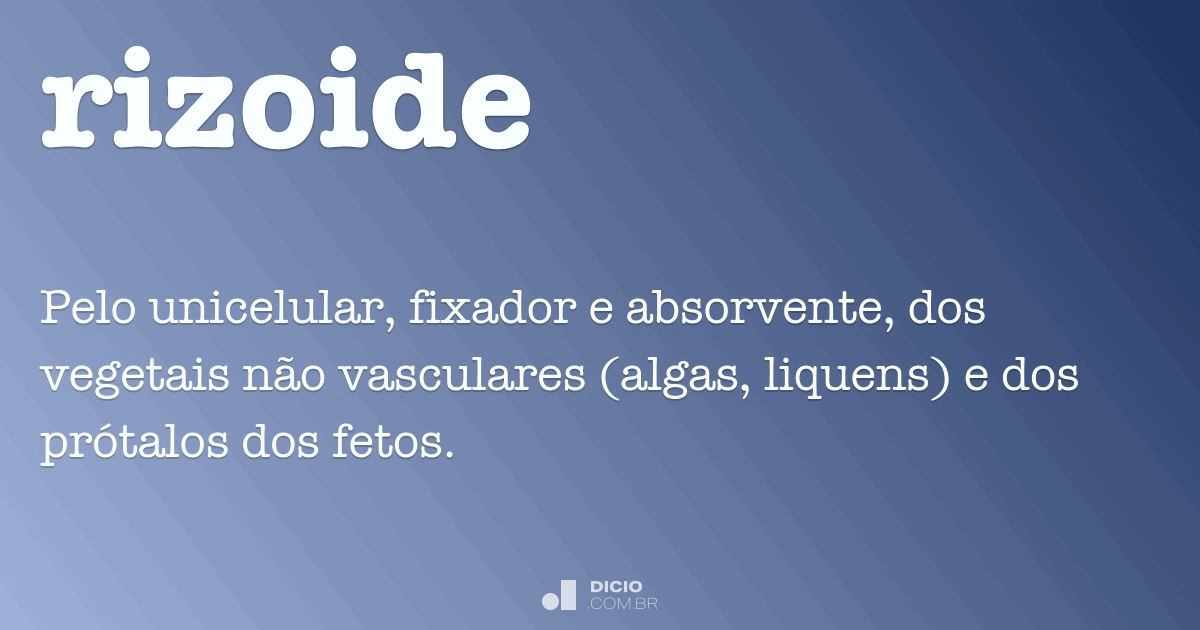 Rizoide - Dicio, Dicionário Online de Português
