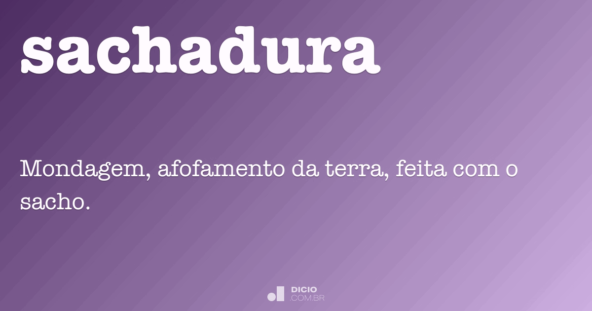 Sachadura - Dicio, Dicionário Online de Português