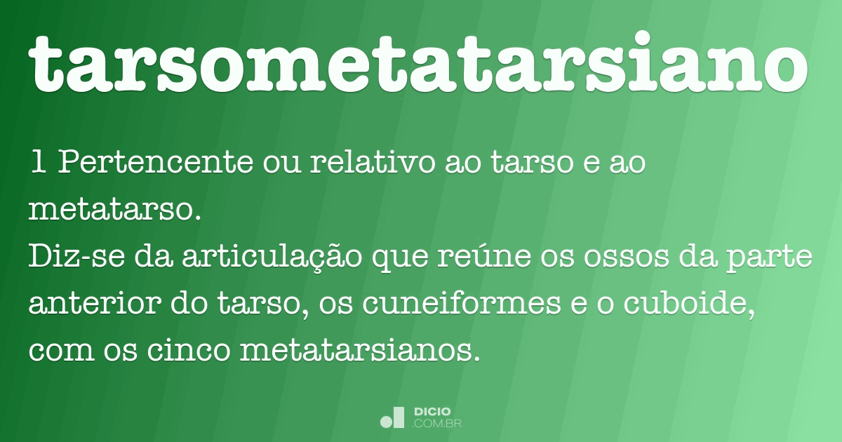 Tarsometatarsiano - Dicio, Dicionário Online de Português