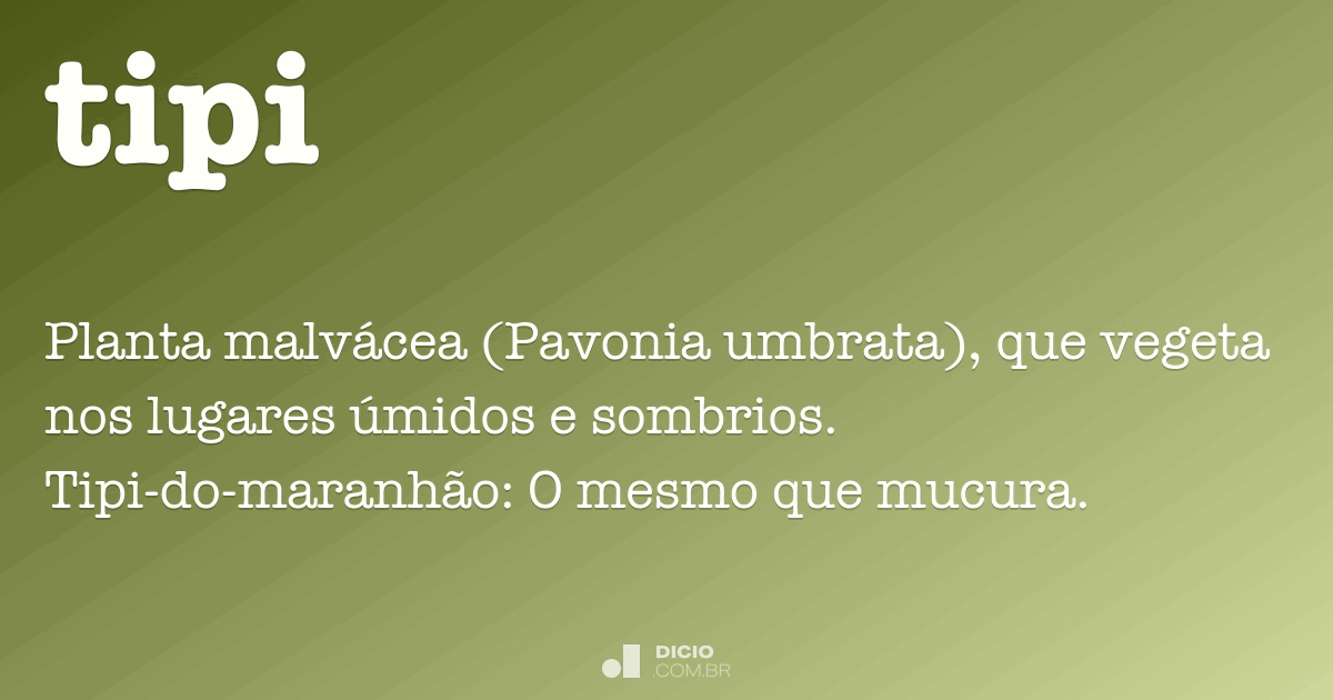 Tipi - Dicio, Dicionário Online de Português