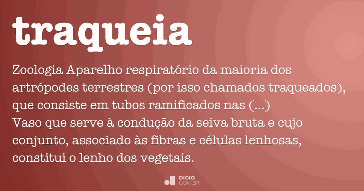 Traqueia - Dicio, Dicionário Online de Português