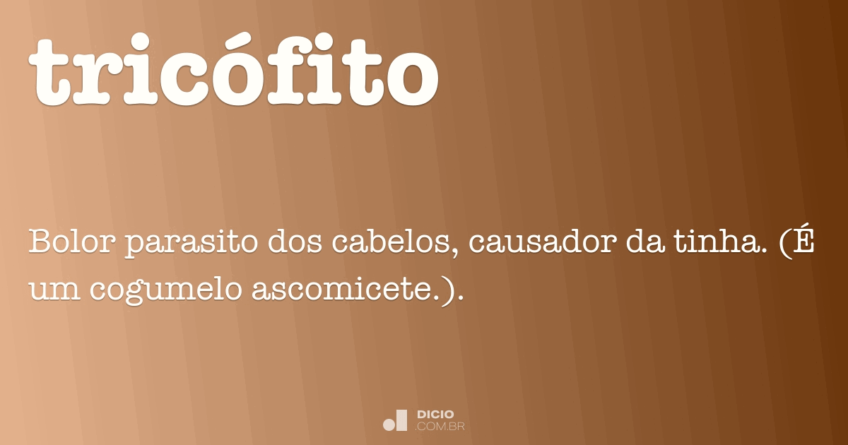 Tricófito - Dicio, Dicionário Online de Português