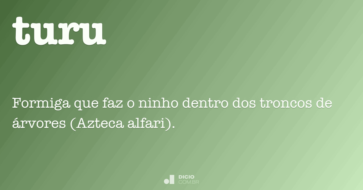 Turu - Dicio, Dicionário Online de Português
