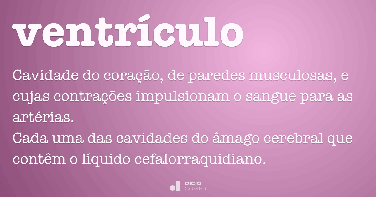 Ventrículo - Dicio, Dicionário Online de Português