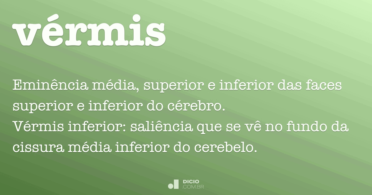 Vérmis - Dicio, Dicionário Online de Português