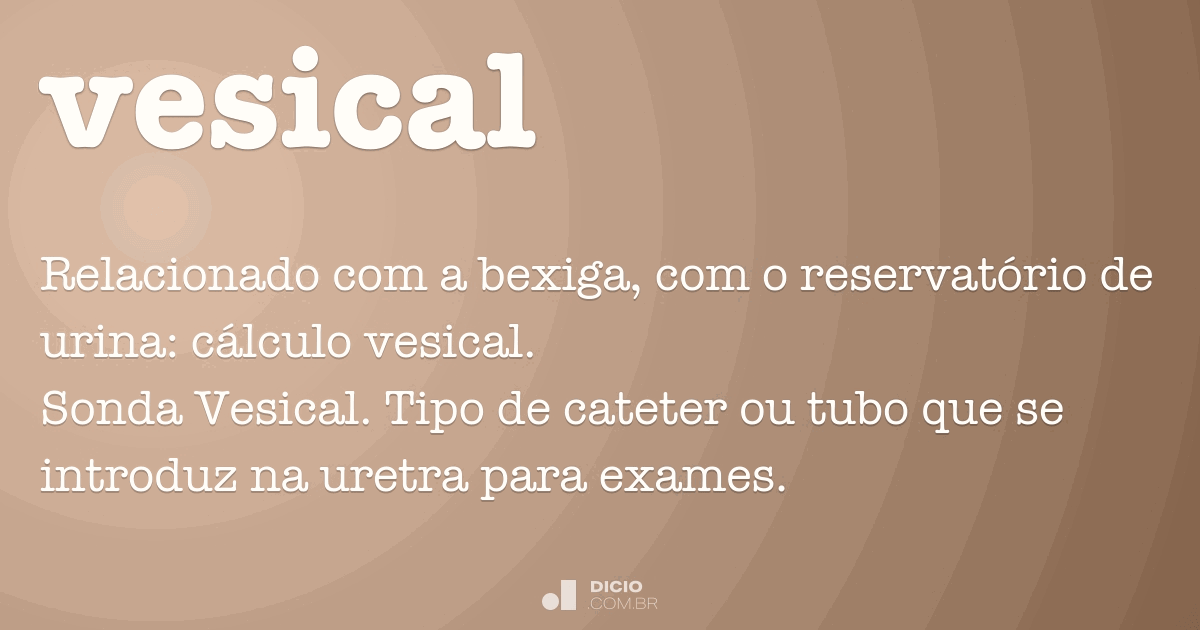 Vesical - Dicio, Dicionário Online de Português
