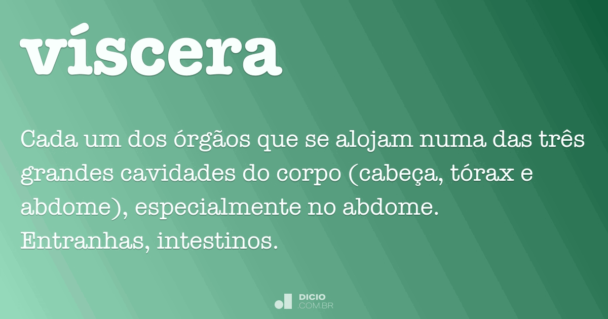 Víscera - Dicio, Dicionário Online de Português